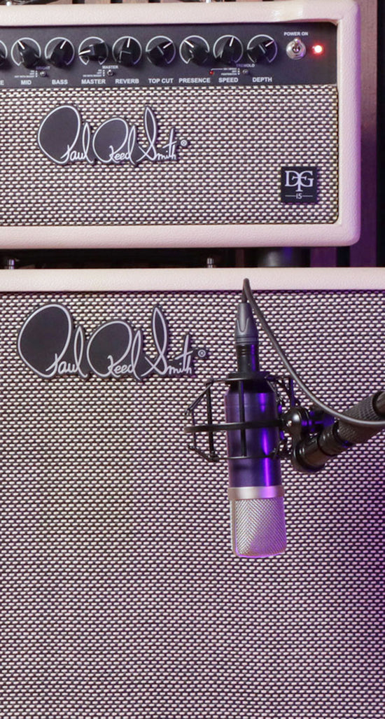 Roswell Cab Mic - Guitar Recording Condenser Microphone – Roswell Pro Audio
